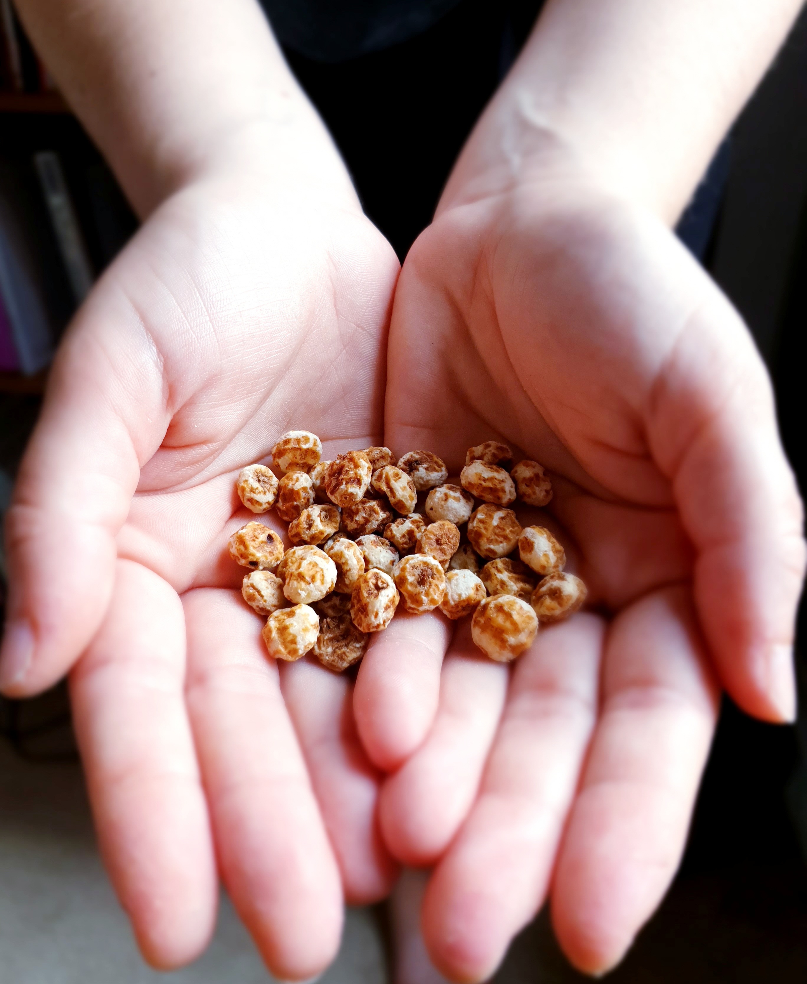 Tiger Nut Cake: c. 1400 B.C. – The Past is a Foreign Pantry